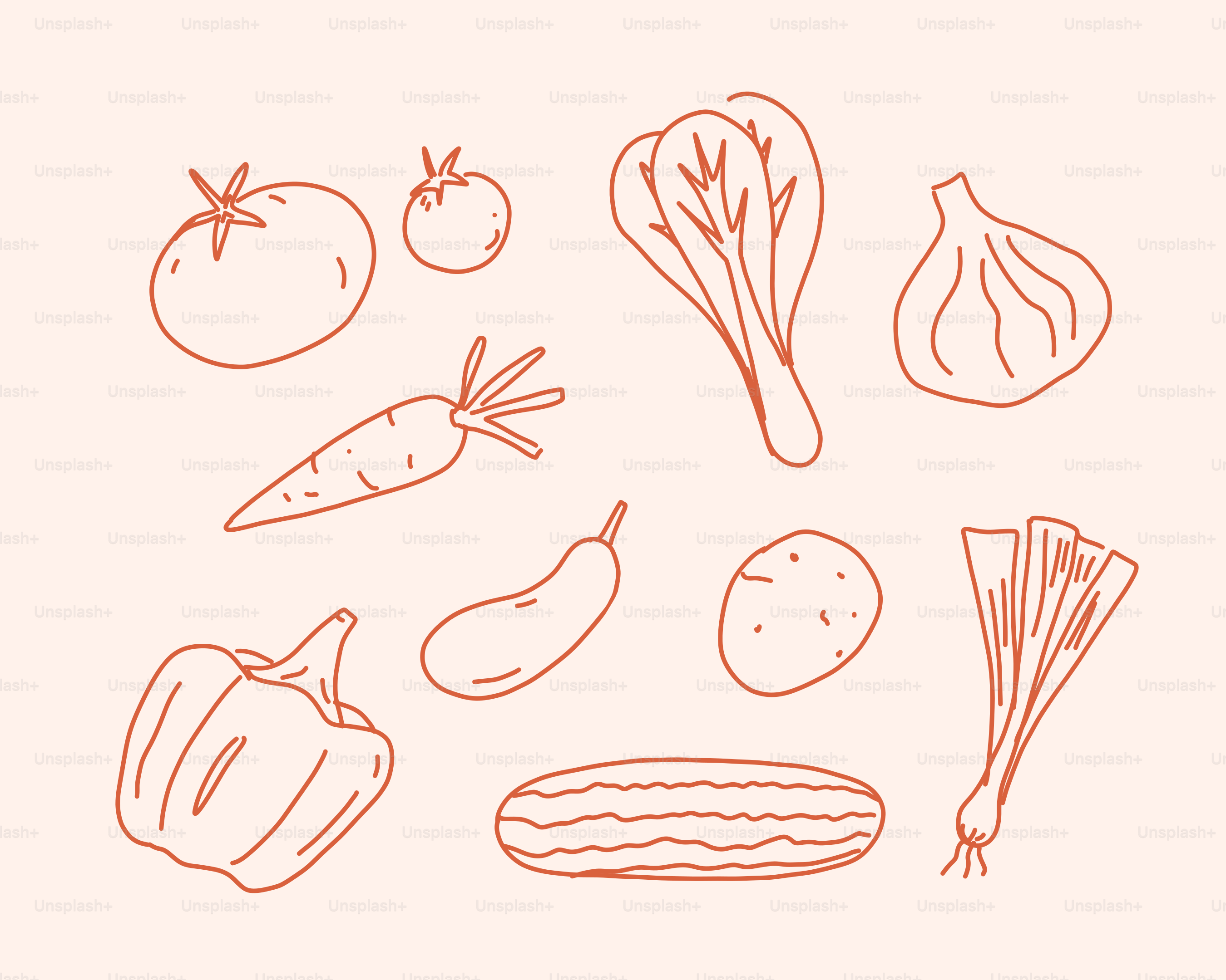Collection of hand-drawn vegetables on a light background vector ...