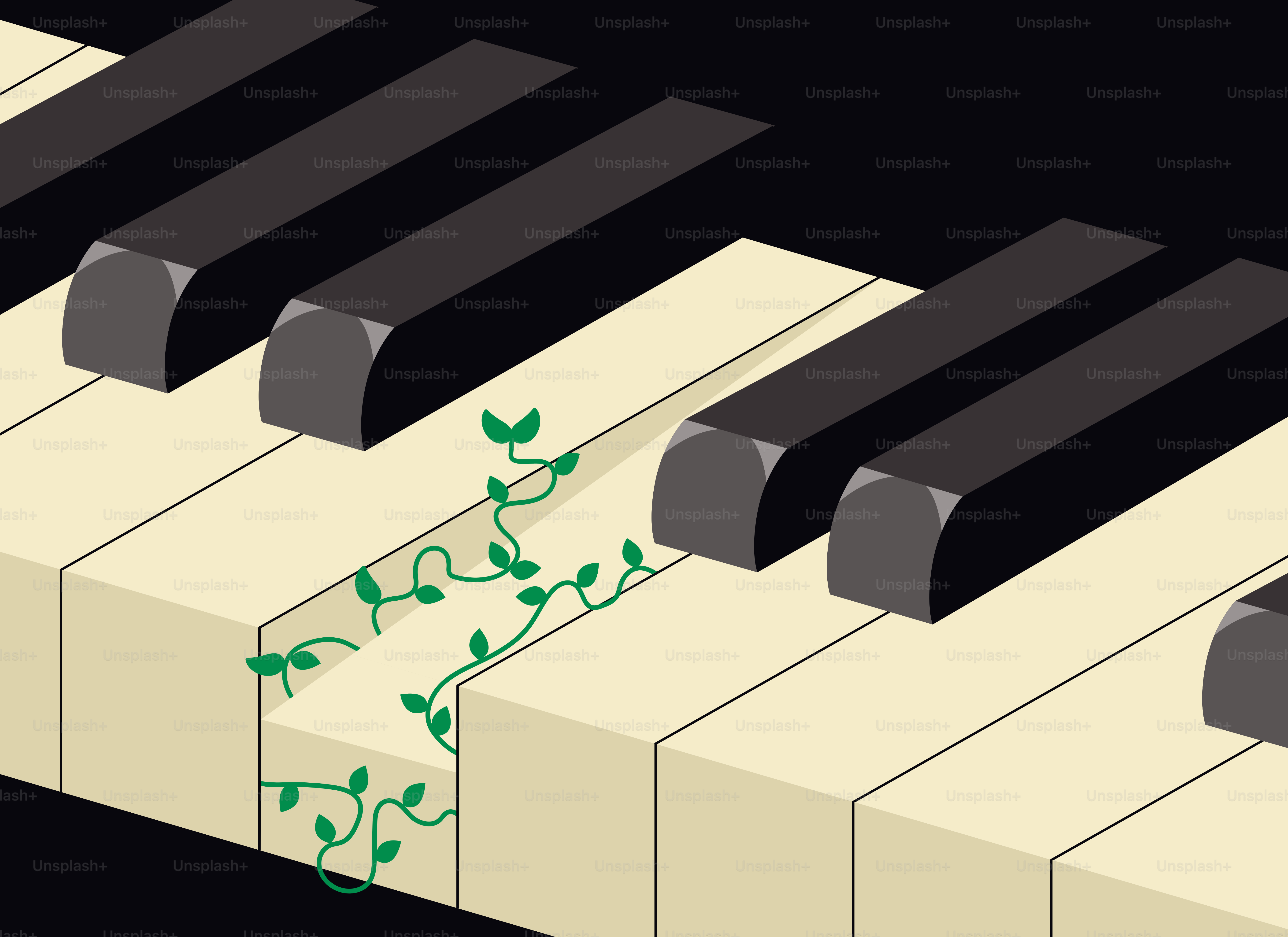 Green vines growing on piano keys vector – Music Image on Unsplash