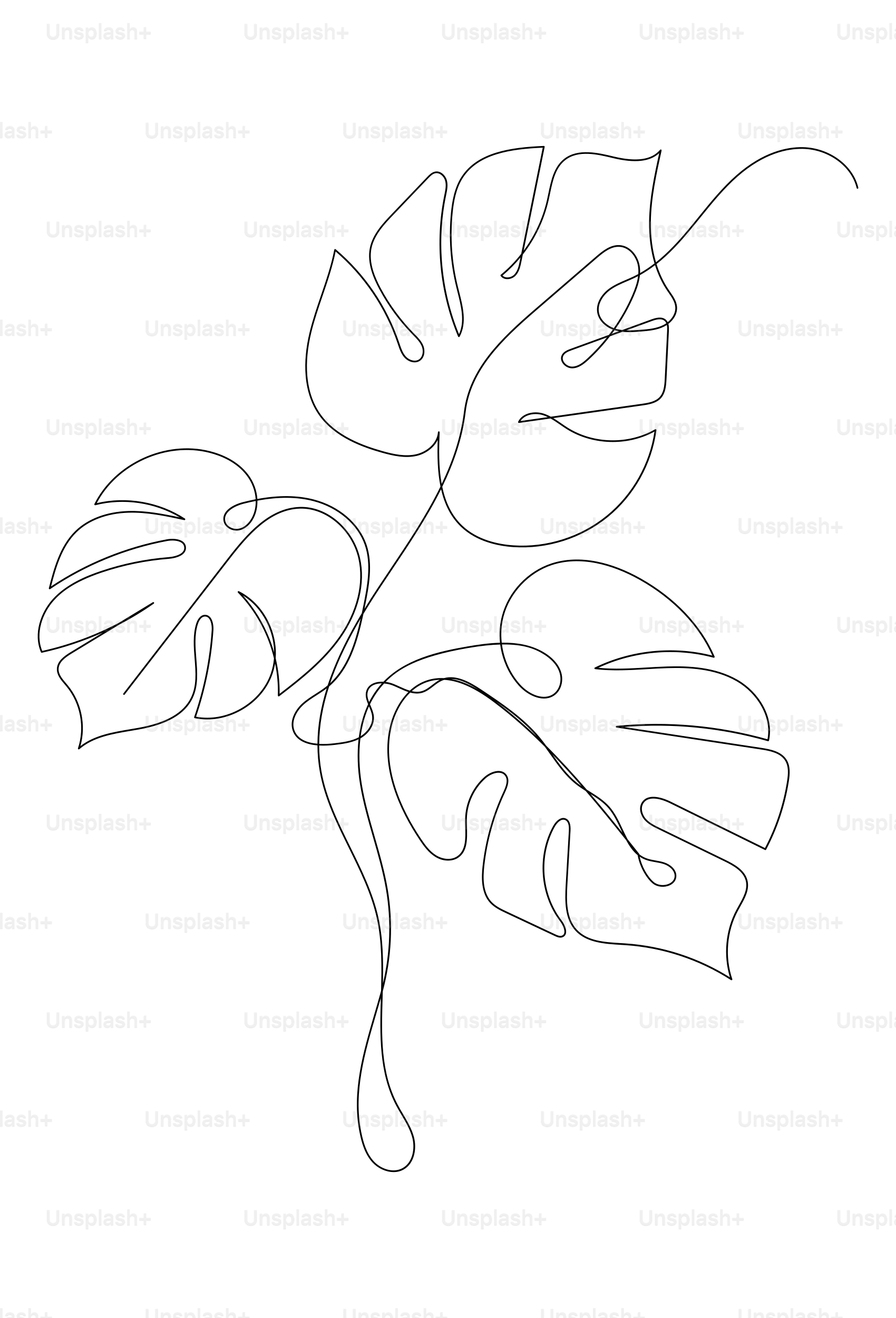 Minimalist line art of a woman's face vector – Illustration Image on ...