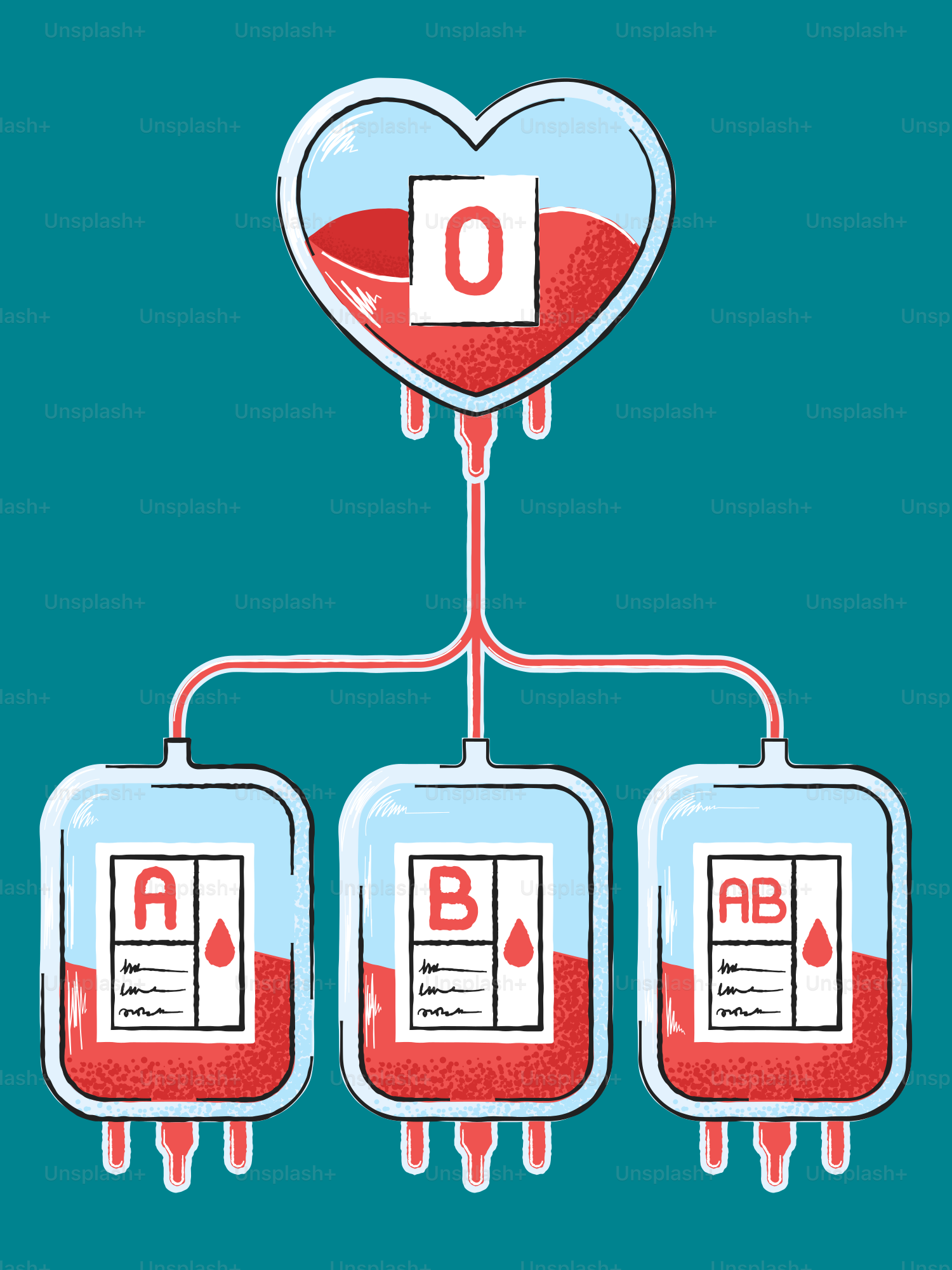 Blood bags showing different blood types o, a, b, ab vector ...
