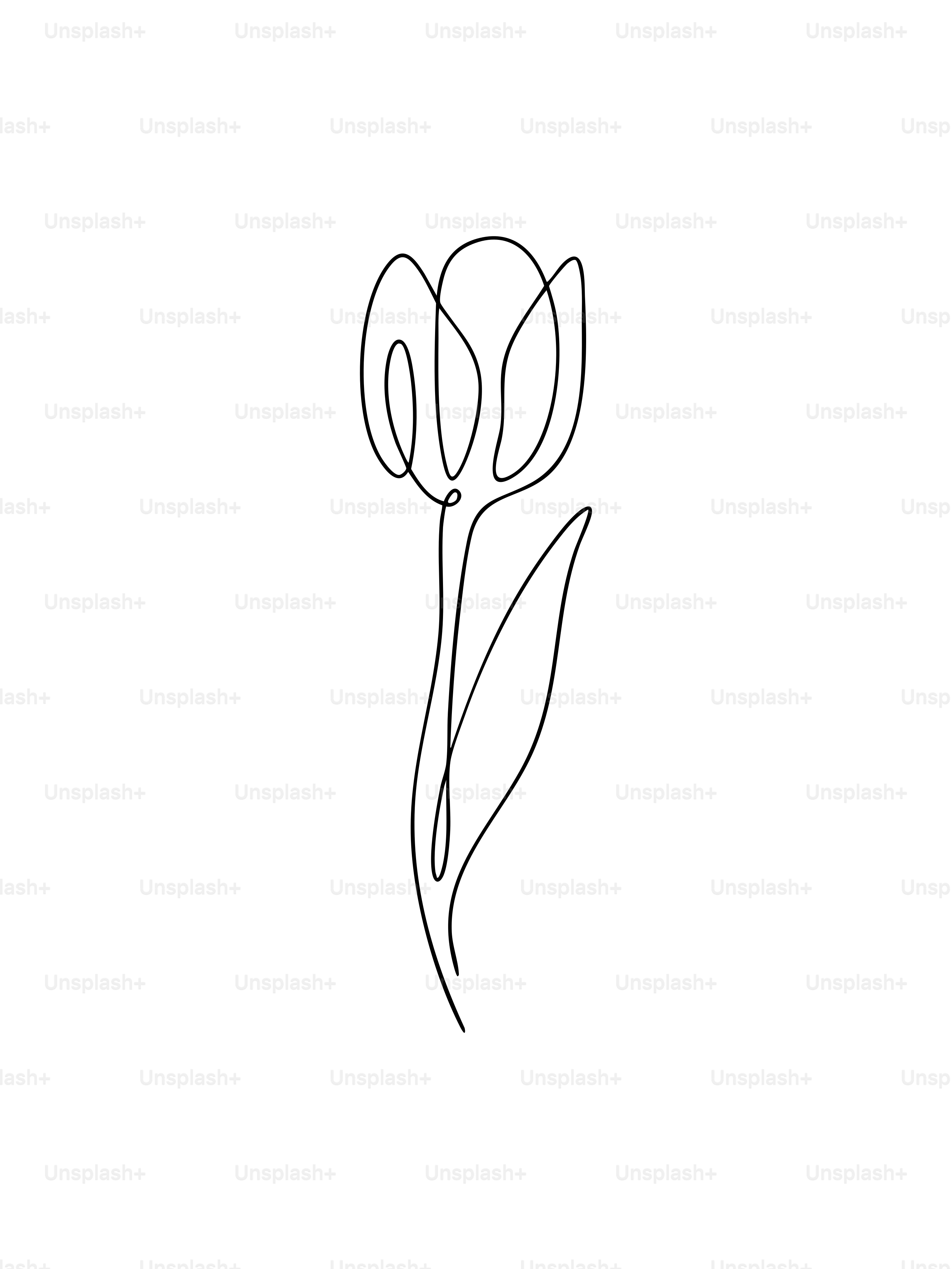 Vektor G – Gambar Bunga di Unsplash