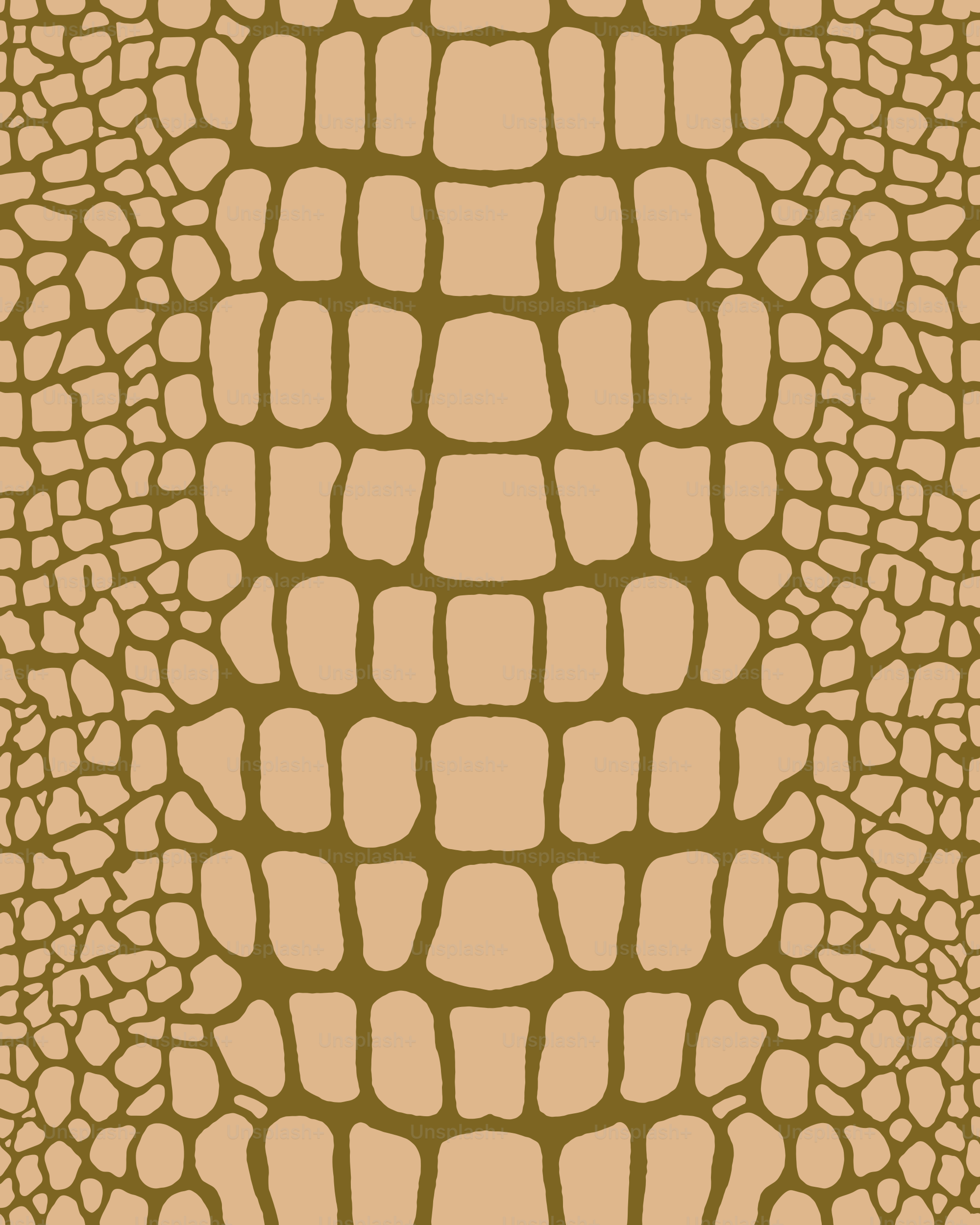 Vektor P – Gambar Wallpaper di Unsplash