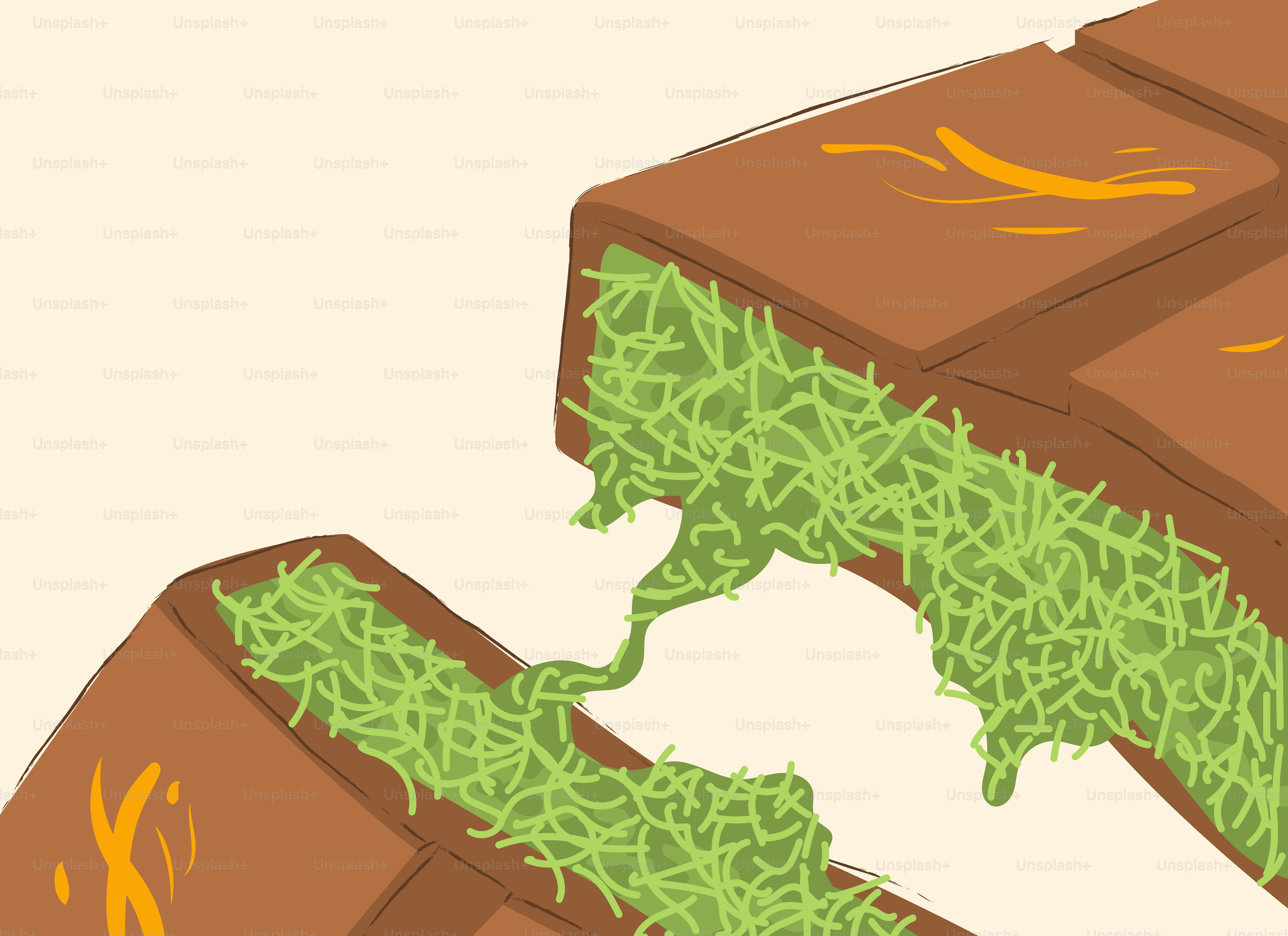 Vektor T – Gambar Makanan di Unsplash