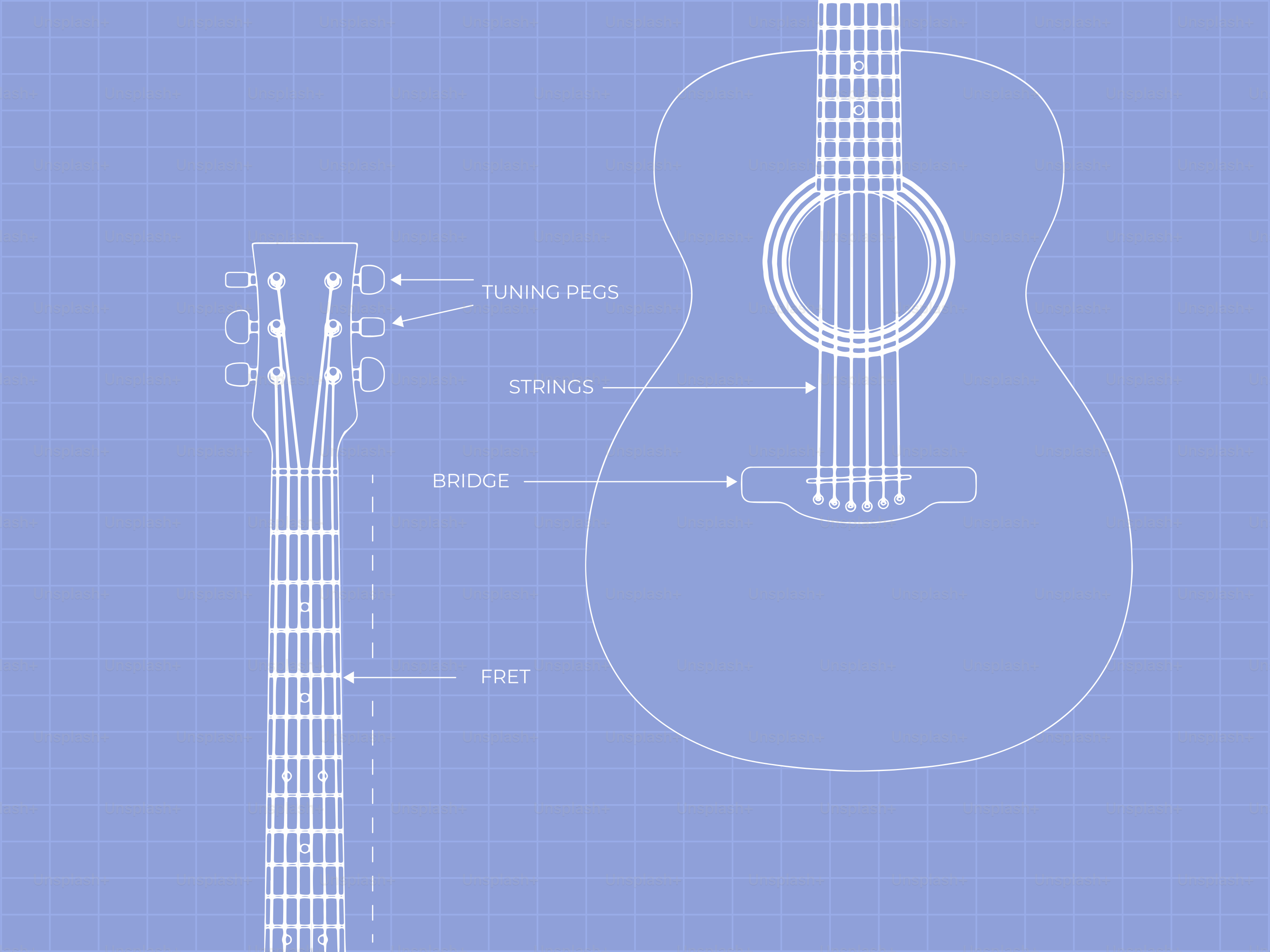 Blueprint diagram of an acoustic guitar vector – Illustration Image on ...
