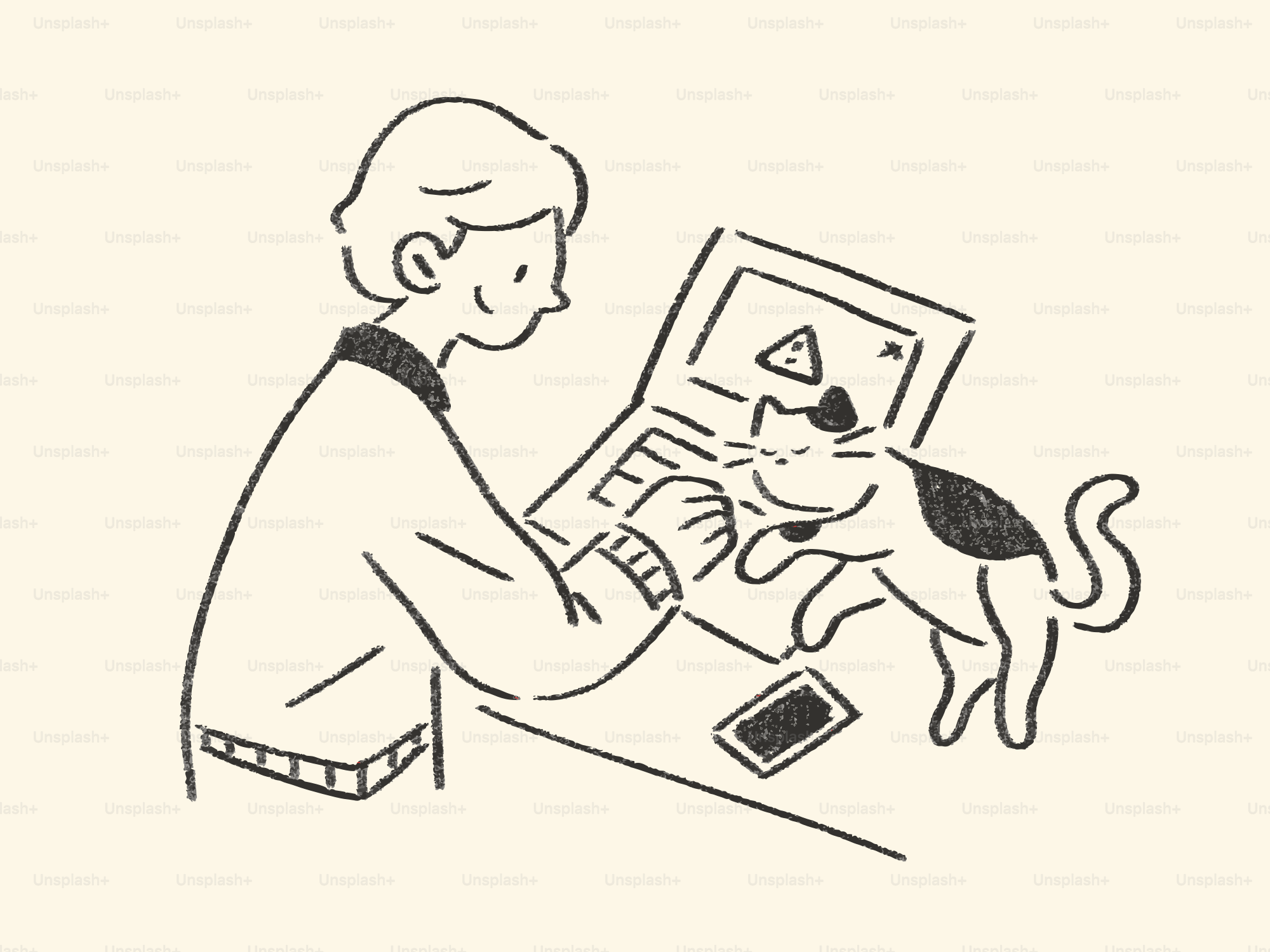 Person taking a picture of a cat vector – Cat Image on Unsplash