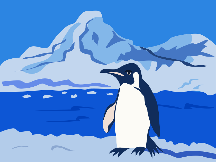 A white swan swims on blue water vector – Wallpaper Image on Unsplash